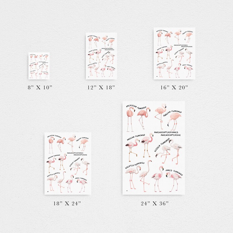 Flamingo Poster, Instant Download Artwork, Original Digital ...