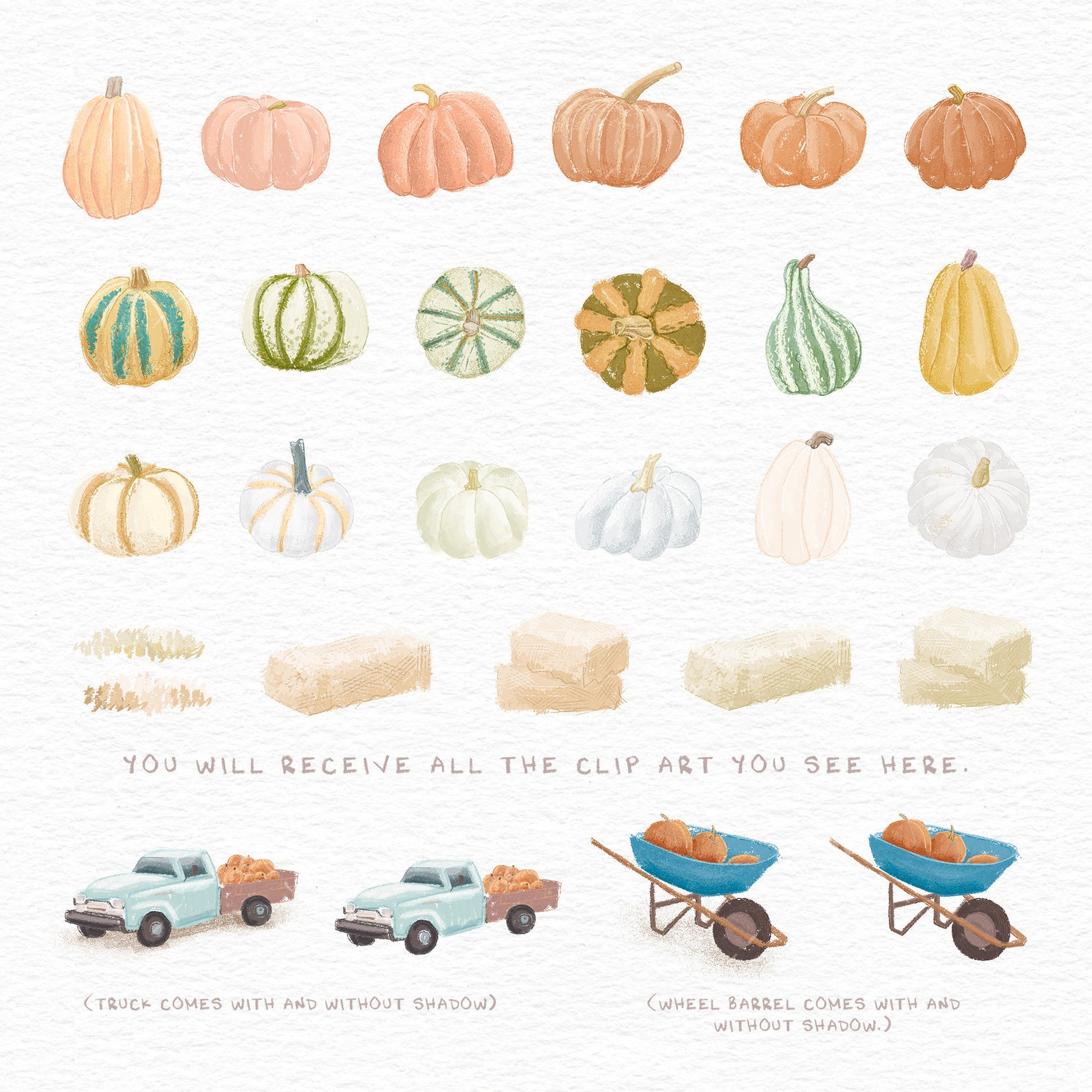 Pumpkin Patch Clip Art Pumpkins Art for the Pumpkin Patch - Etsy