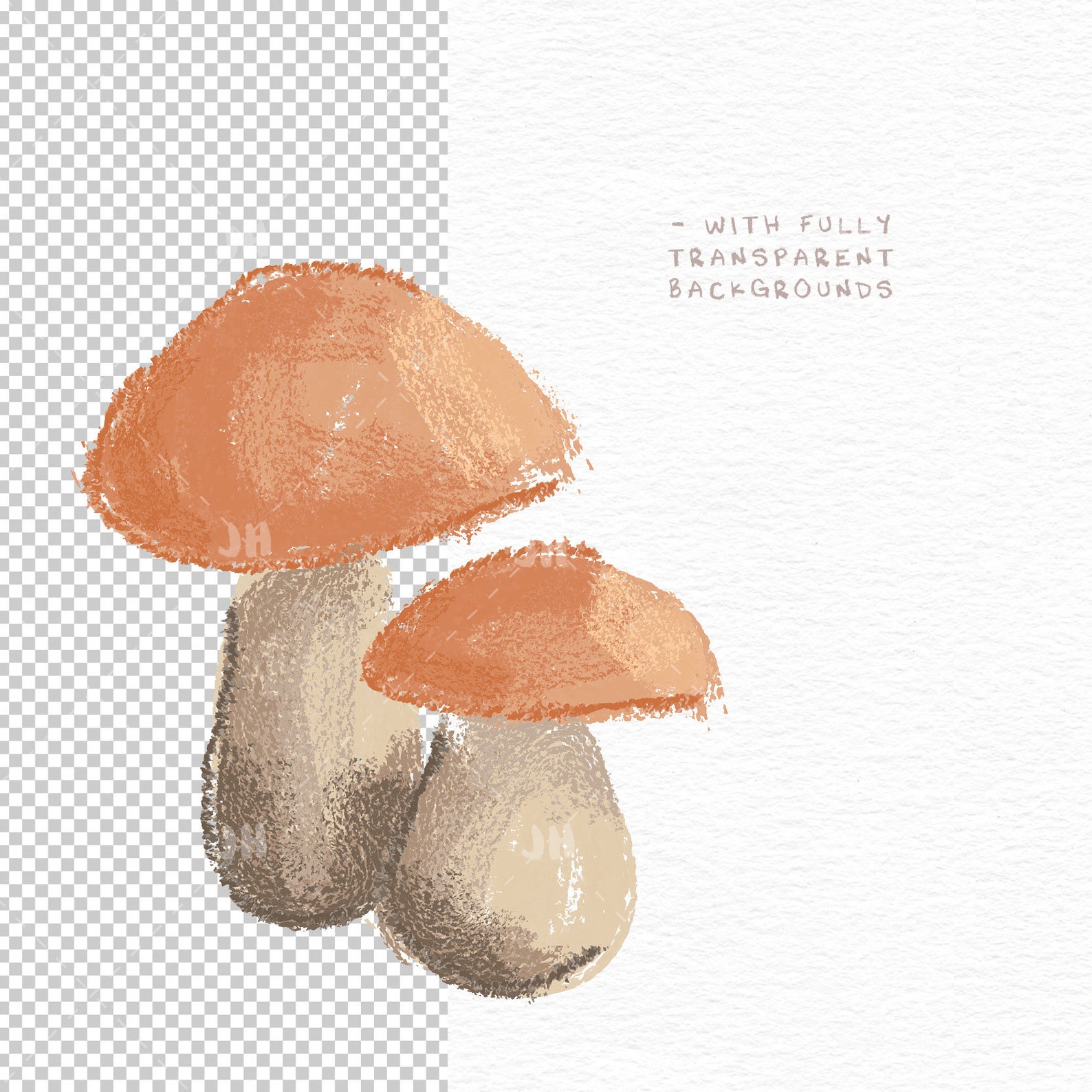 Fruits and Veggies Clip Art Set 2 Clip Art for Cooking or Cook Book ...