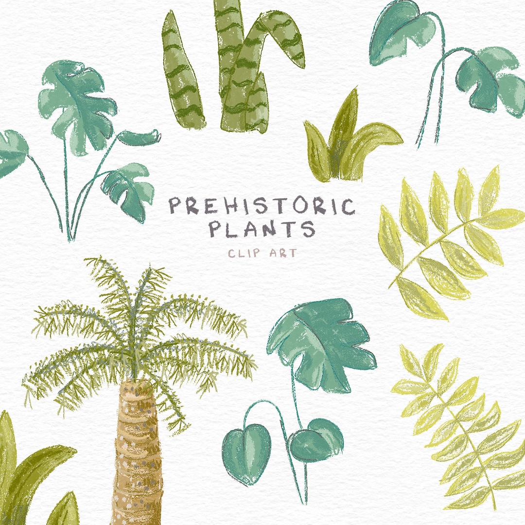 Prehistoric Plants Clip Art, 20 Different Prehistoric Plants, Set ...