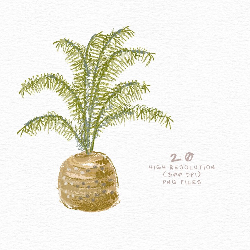 Prehistoric Plants Clip Art, 20 Different Prehistoric Plants, Set ...