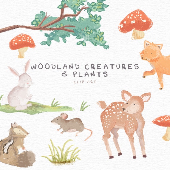Woodland Creatures Clip Art Downloadable Images for Designs | Etsy