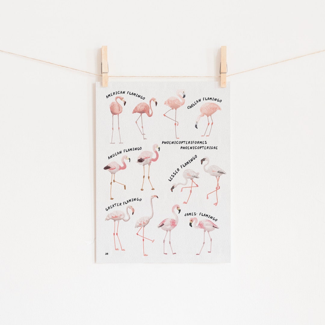 Flamingo Poster, Instant Download Artwork, Original Digital ...