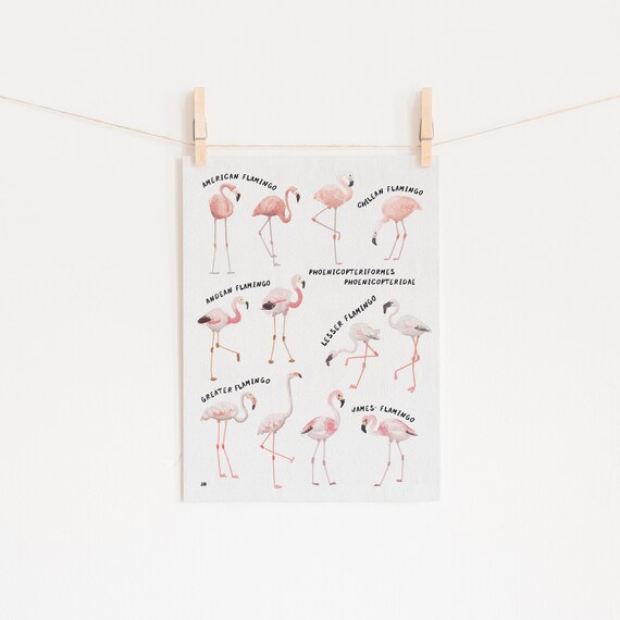 Flamingo Poster Instant Download Artwork Original Digital | Etsy