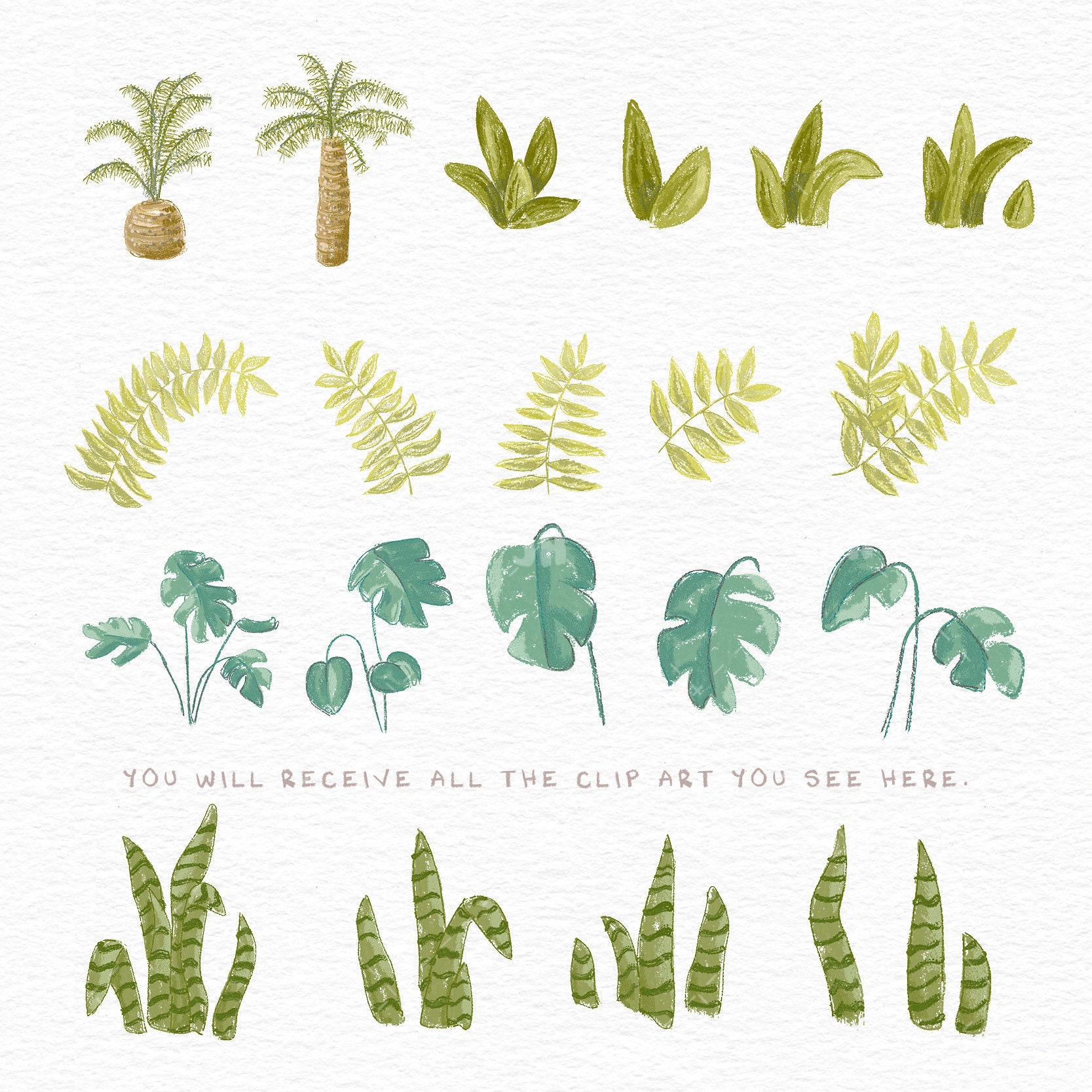 Prehistoric Plants Clip Art, 20 Different Prehistoric Plants, Set ...