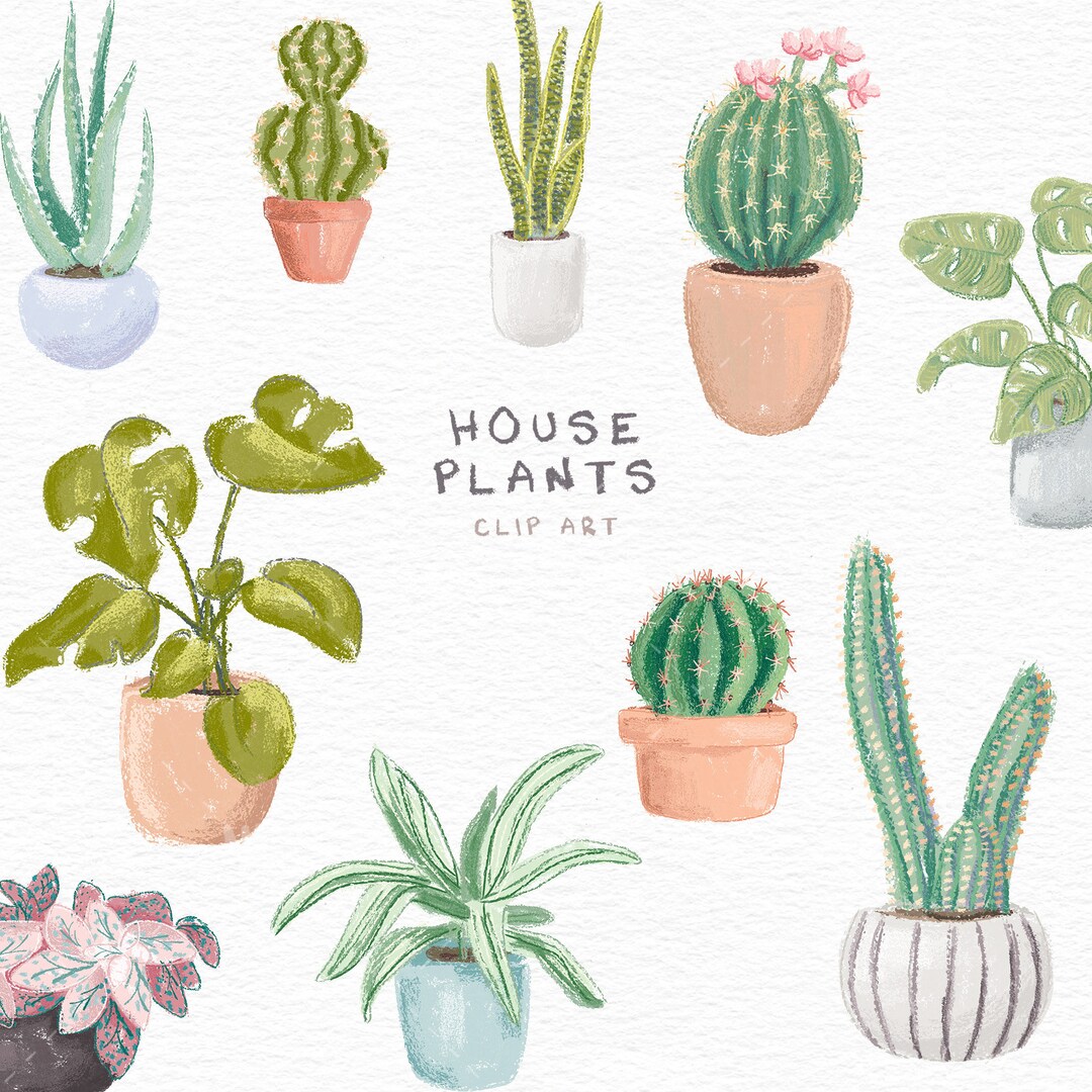 House Plants Clip Art, 13 Different House Plants, Set Number 1, Instant ...