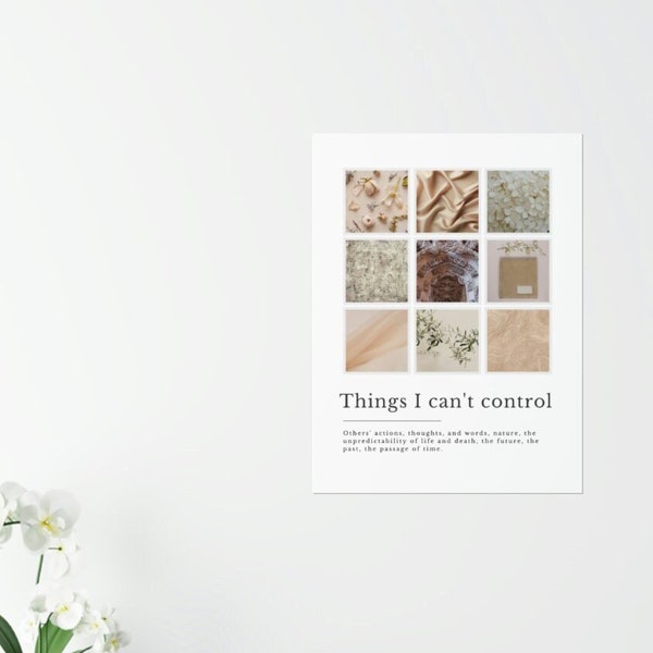 Things I Cant Control Poster - Etsy