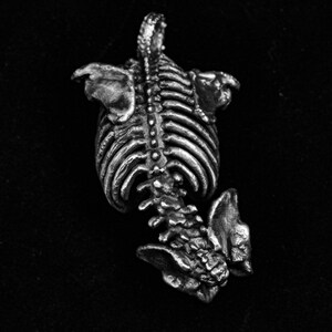 Human Anatomy Skull Dragon Spine Scary Ribs Pendant Necklace Cross ...