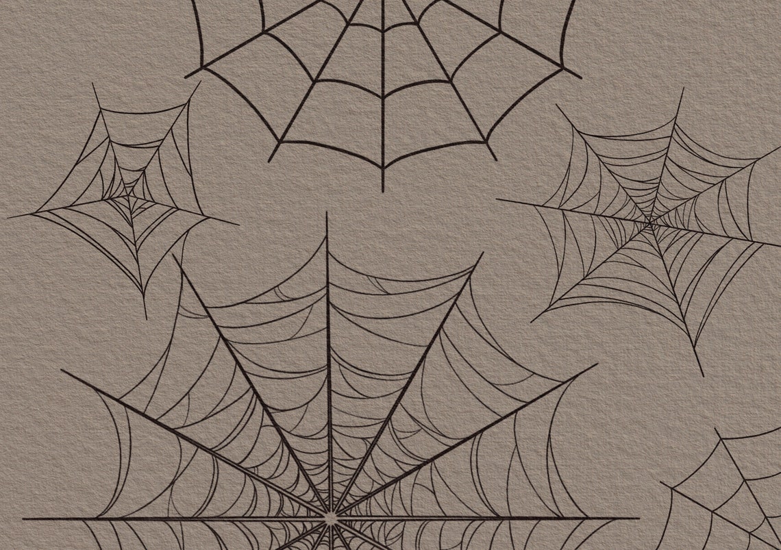 Spider and Web Procreate Stamps - Etsy