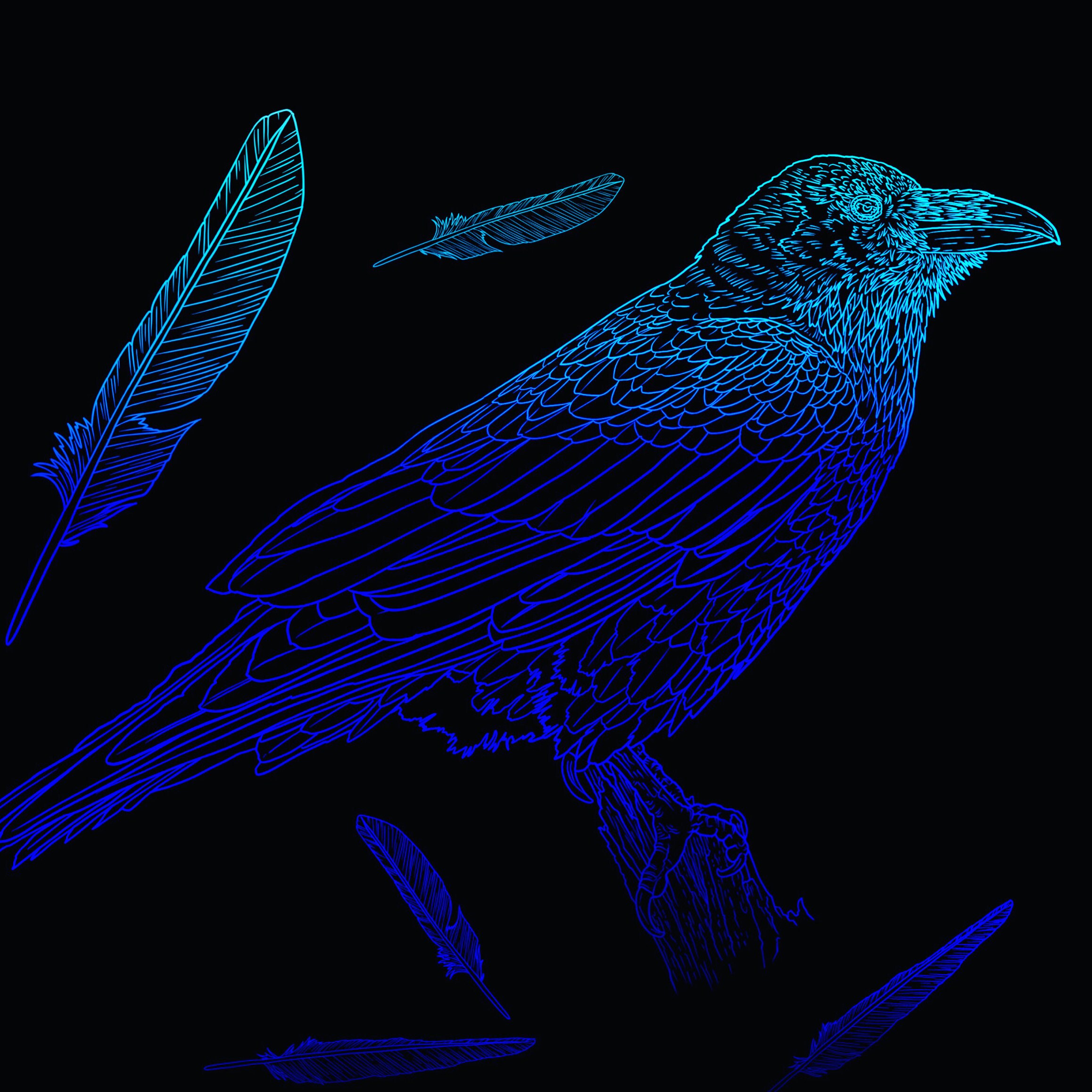 Procreate Tattoo, the Raven, Stamp Set for Procreate - Etsy
