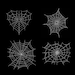 Spider and Web Procreate Stamps - Etsy
