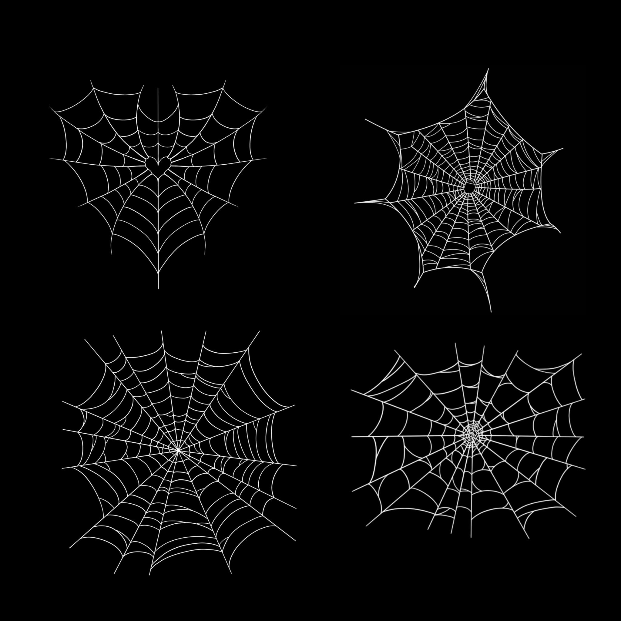 Spider and Web Procreate Stamps - Etsy