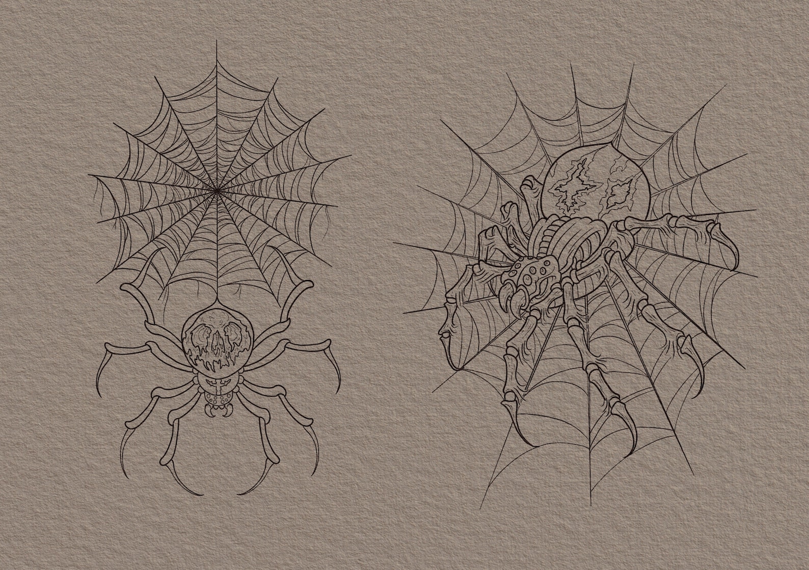 Spider and Web Procreate Stamps - Etsy