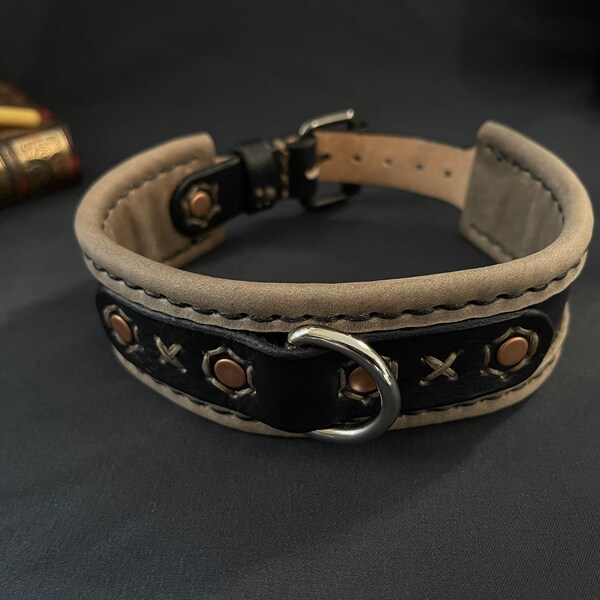 Unique Dog Collar - Etsy
