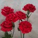 Flower Set of 3 Giant Foam Carnations on Metal Stand, Mother's Day ...