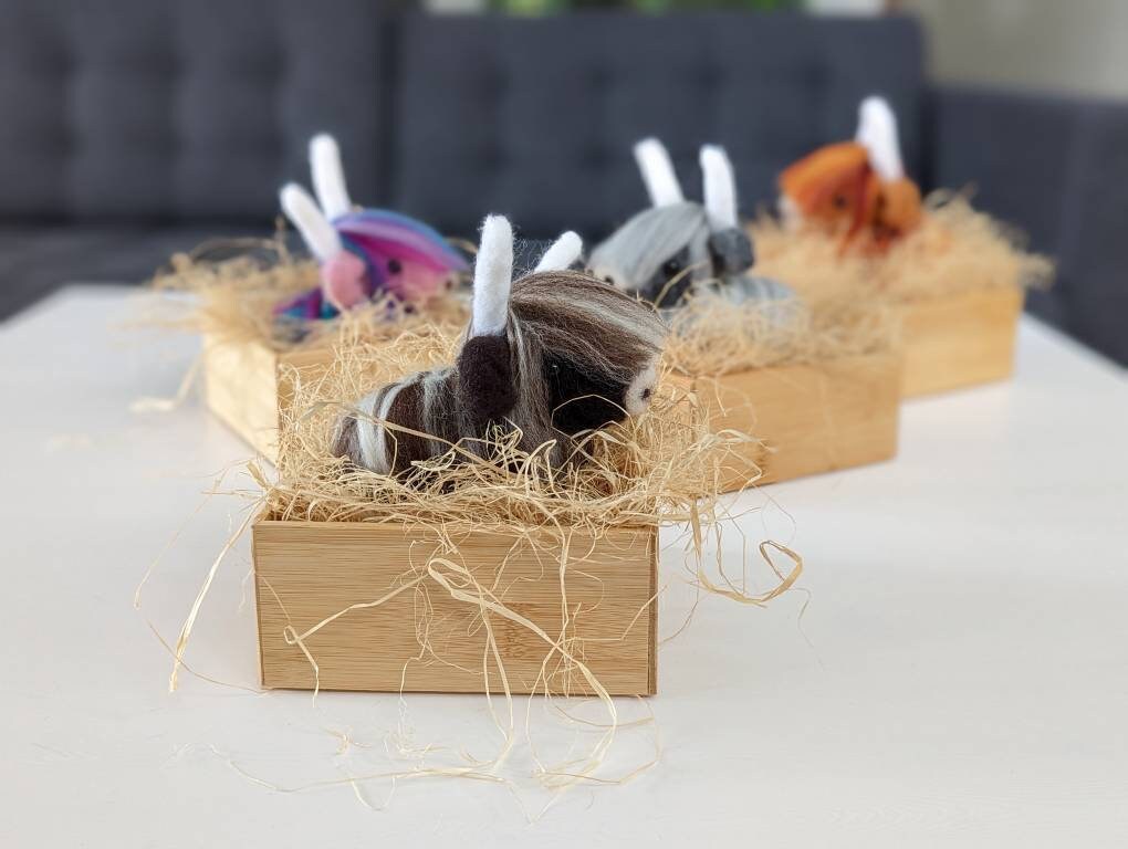 Highland Cows in Hay Beds - Etsy Australia