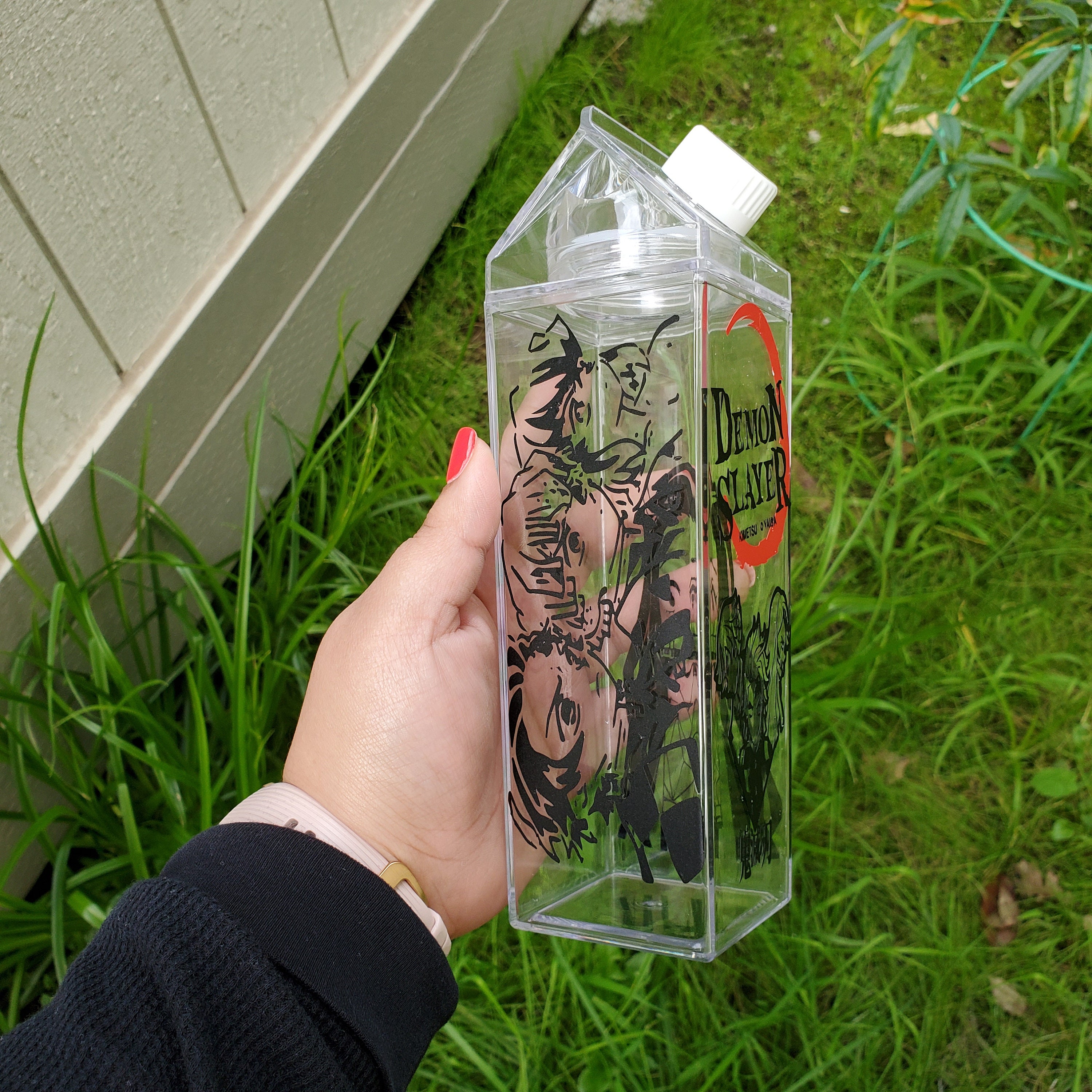 Demons Anime/ Girl Demon / Milk Carton Water Bottle | Etsy