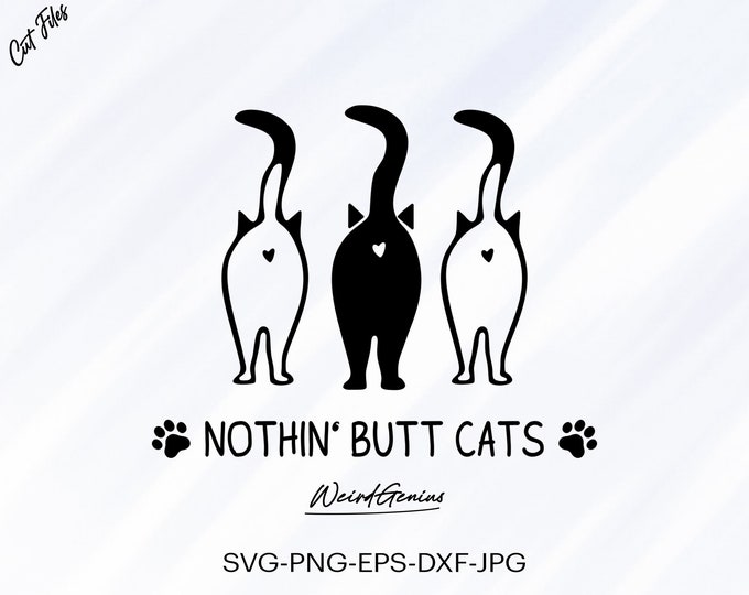 Adicats Funny Cat Svg, Cat Svg, Instant Download Svg, High Quality File ...