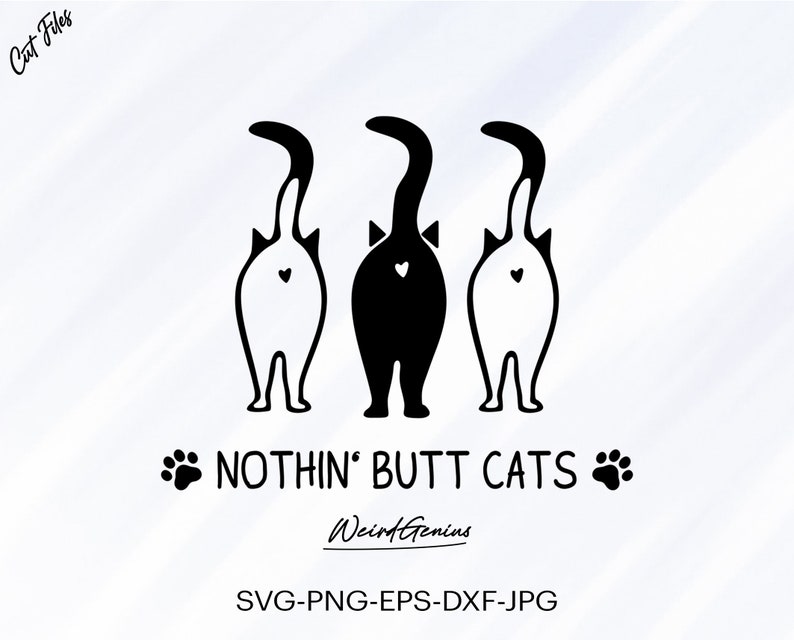 Funny Cat Svg Funny Cat Saying Svg Cat Svg Instant Download - Etsy