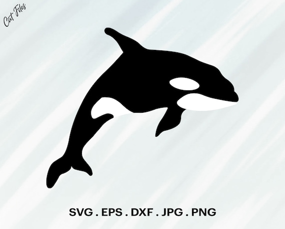Orca Killer Whale SVG Killer Whale SVG Killer Whale | Etsy