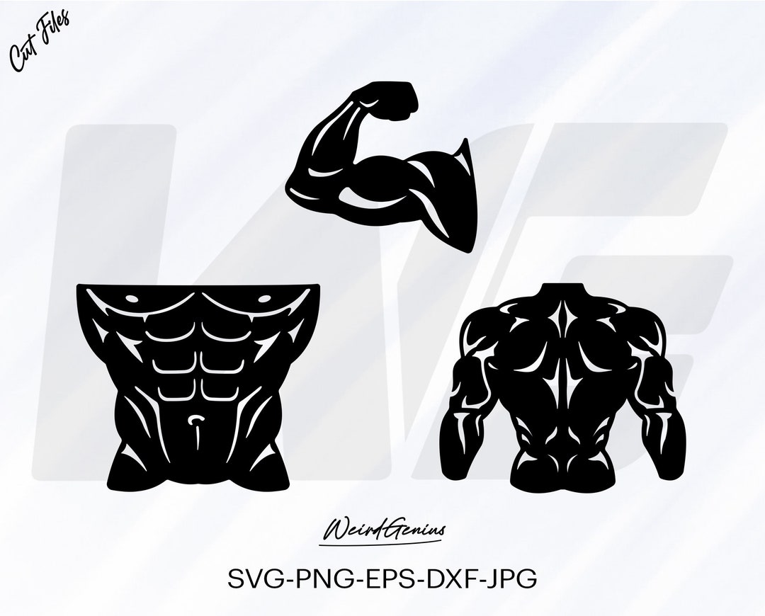 Muscle Svg Bundle, Bicep Svg, Back Svg, Abdominal Svg, High Quality ...