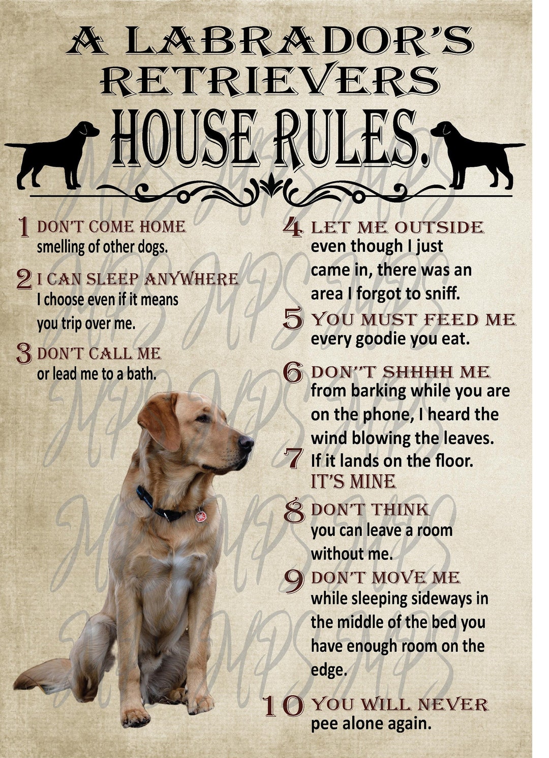 Labrador House Rules Dog Lovers Home Decor Wall Decor Funny - Etsy