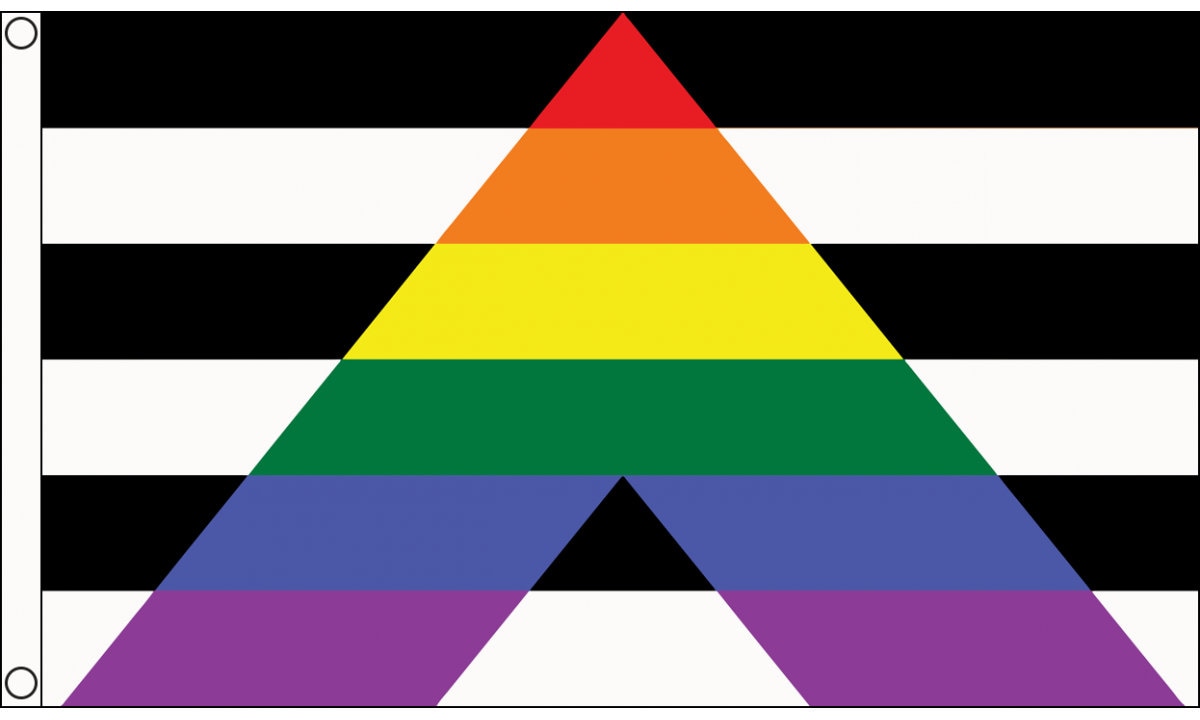 Bandera De Aliado Recta Grande 5 X 3 Ft Orgullo Gay Lgbtq Etsy