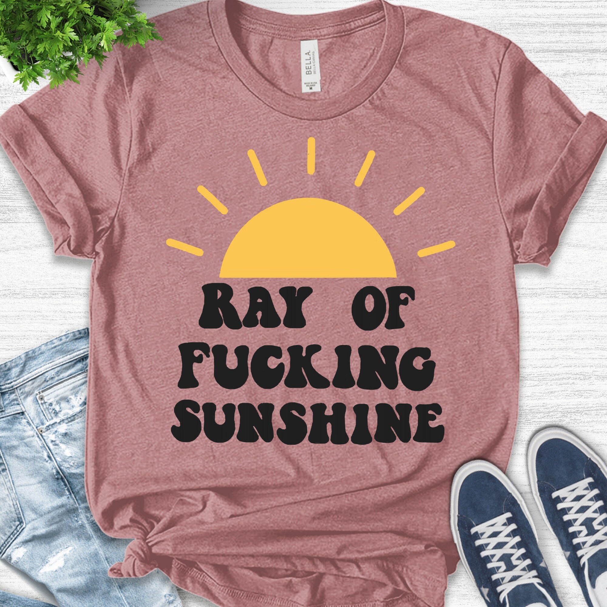I Am A Ray Of Fucking Sunshinesunshine Shirt Funny Shirt Etsy