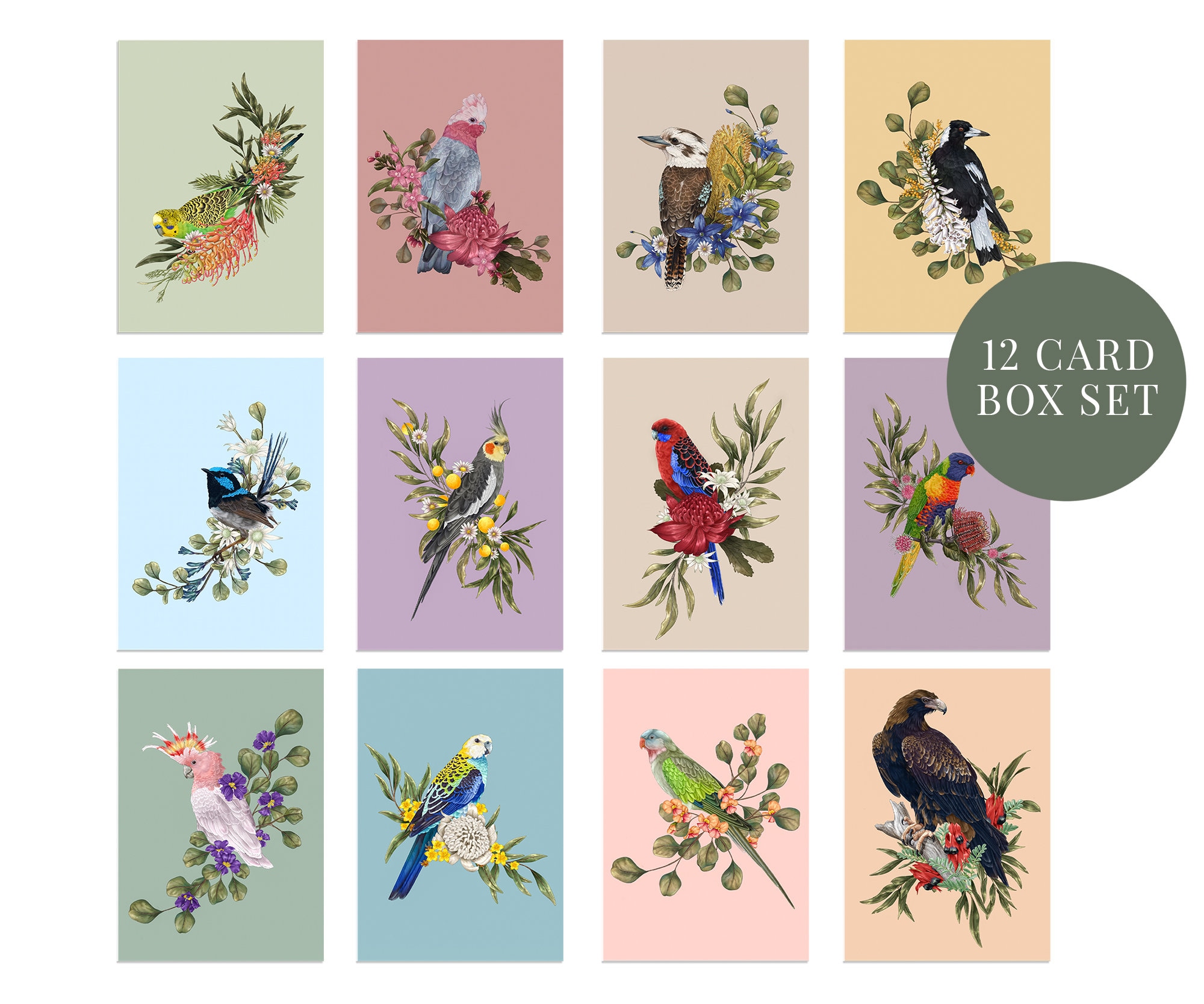 12 Card Box Set - Australian Native Birds - Etsy