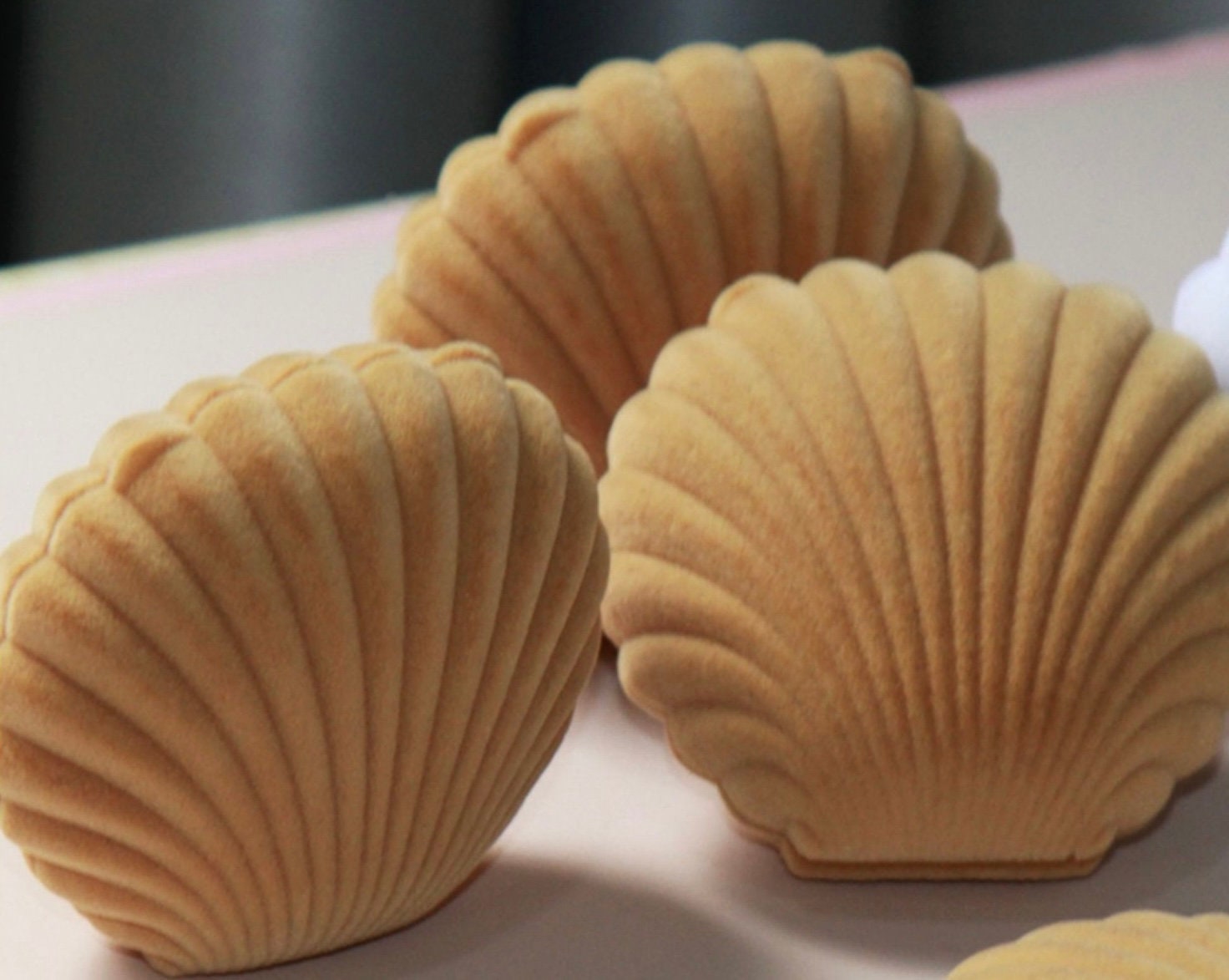 The Cutest Jewelry Box Shell Handmade Gift for Her Minimalistsoft Lint ...