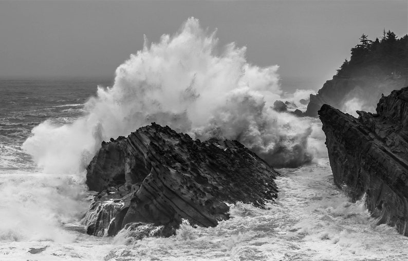 The Power of the Sea- Shore Acres State Park - 2020 King Tides - Etsy