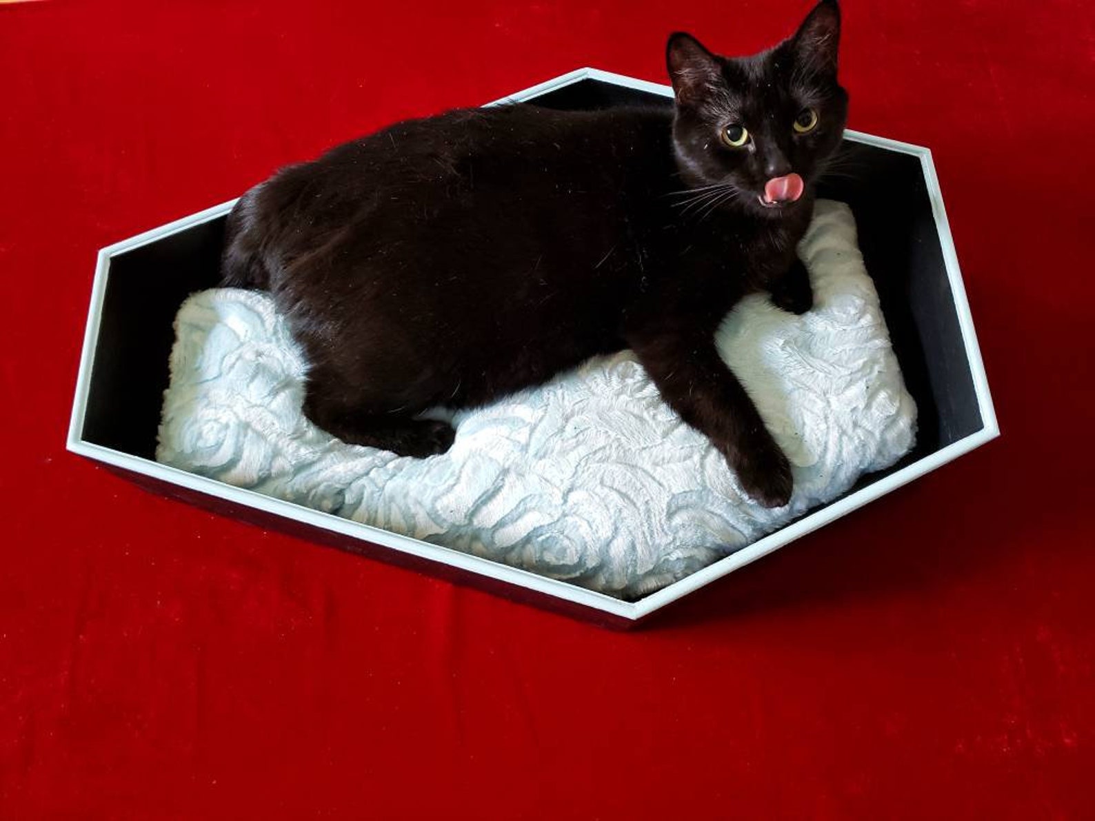 Coffin Cat Bed Goth Pet Bed Small Dog Bed Gothic Pet | Etsy