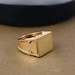Buy Secret Compartment Ring, Handmade Poison Ring, Signet Pill Ring ...
