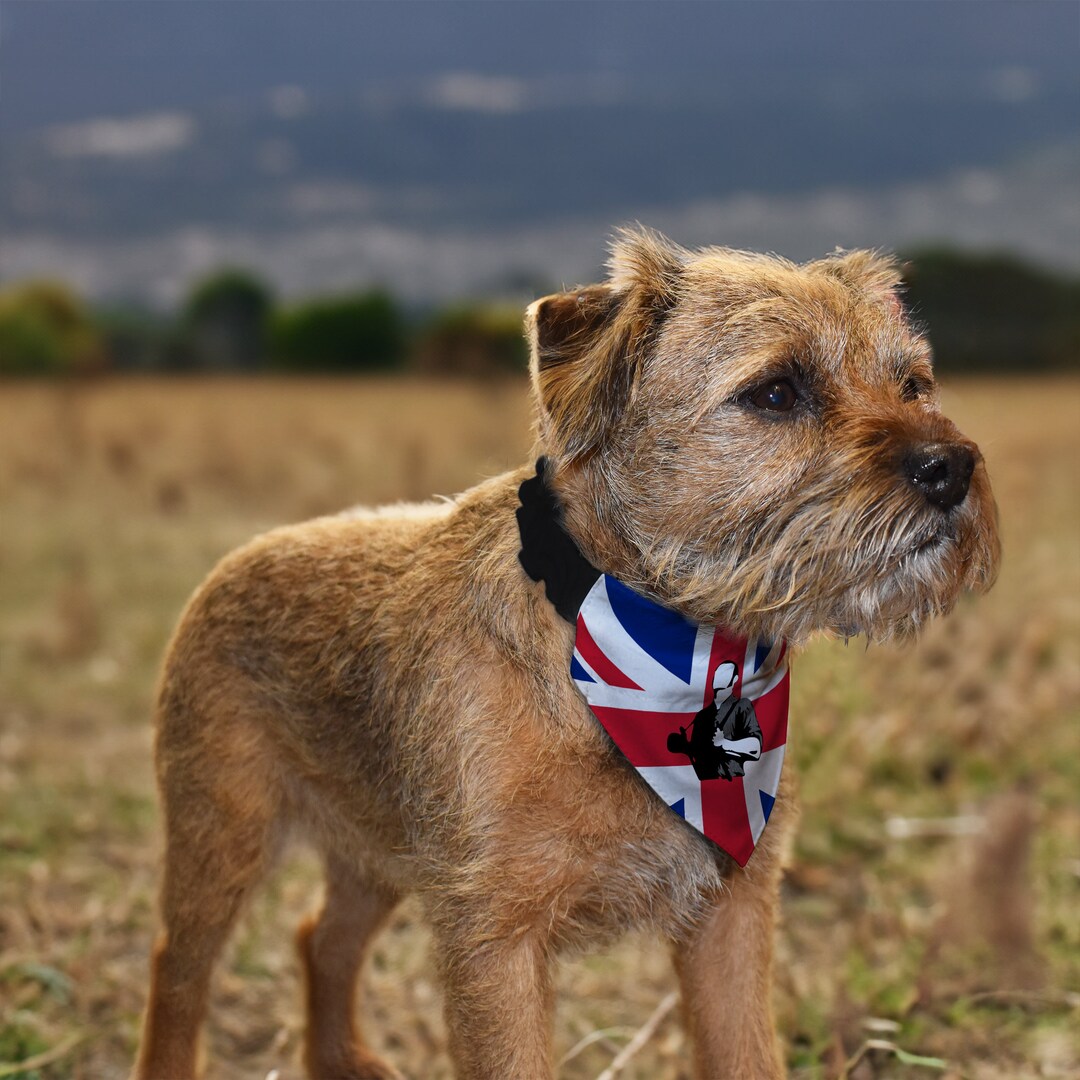 Skinhead Union Jack Design - Dog Bandana - 4 Sizes - Etsy
