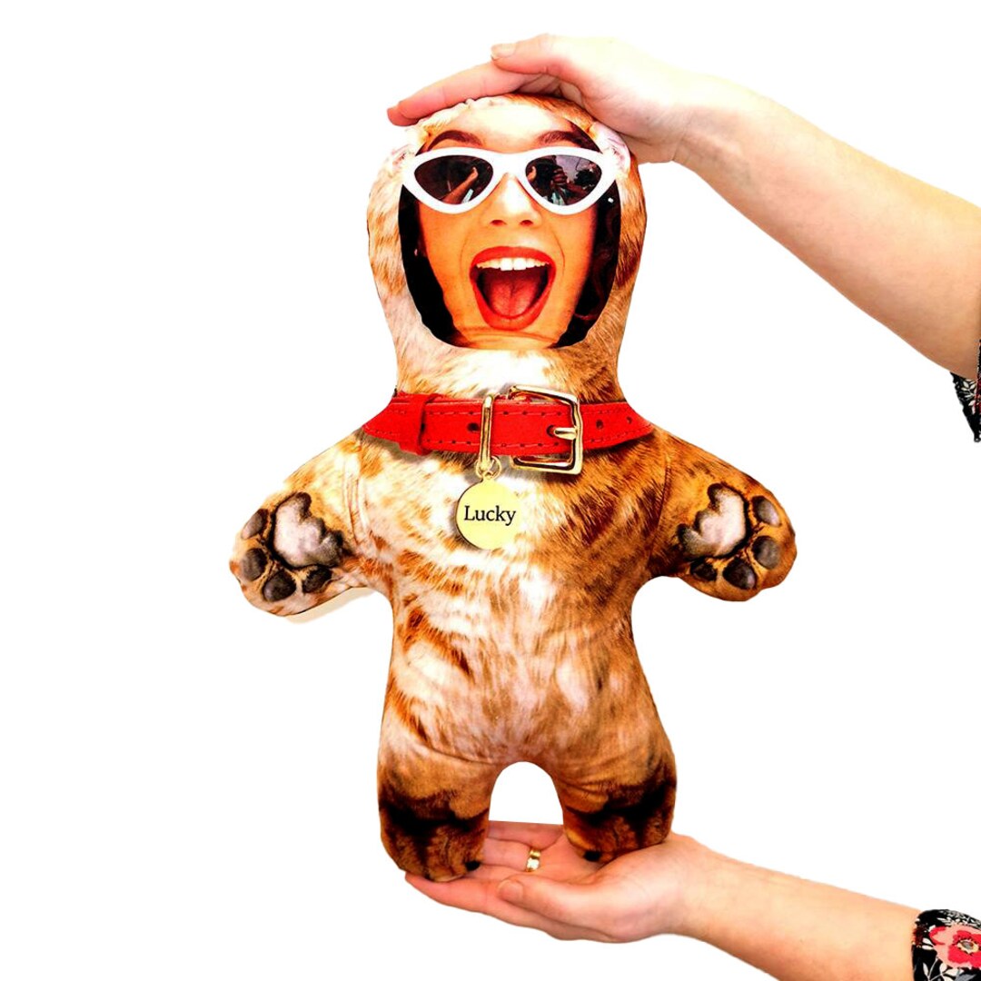 Ginger Cat Mini Me™ Photo Doll / Face Teddy Novelty Gift - Etsy