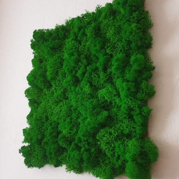 Moss Wall Panels - Etsy