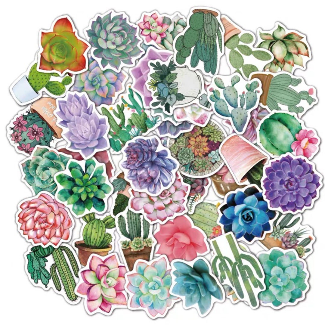 Succulent Plant Stickers - 50pc Beauty Stationery Pack - Etsy