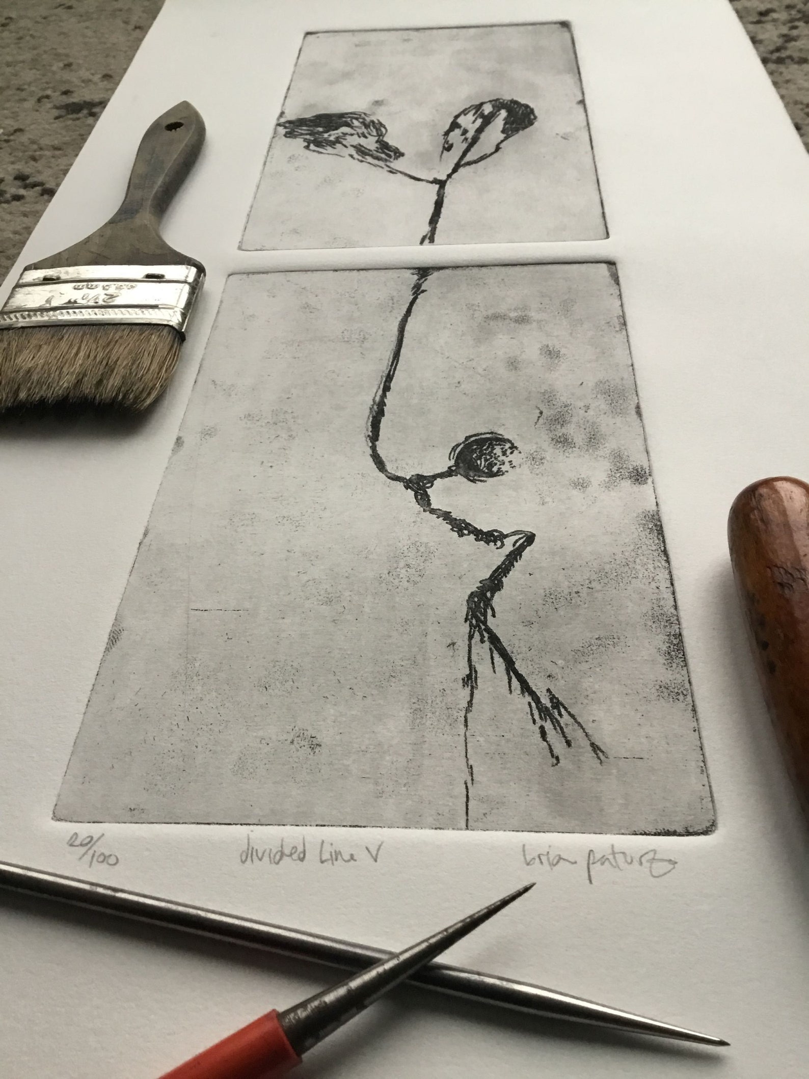 Divided Line V - 20/100 Editioned Intaglio Etching Soft Ground Diptych ...