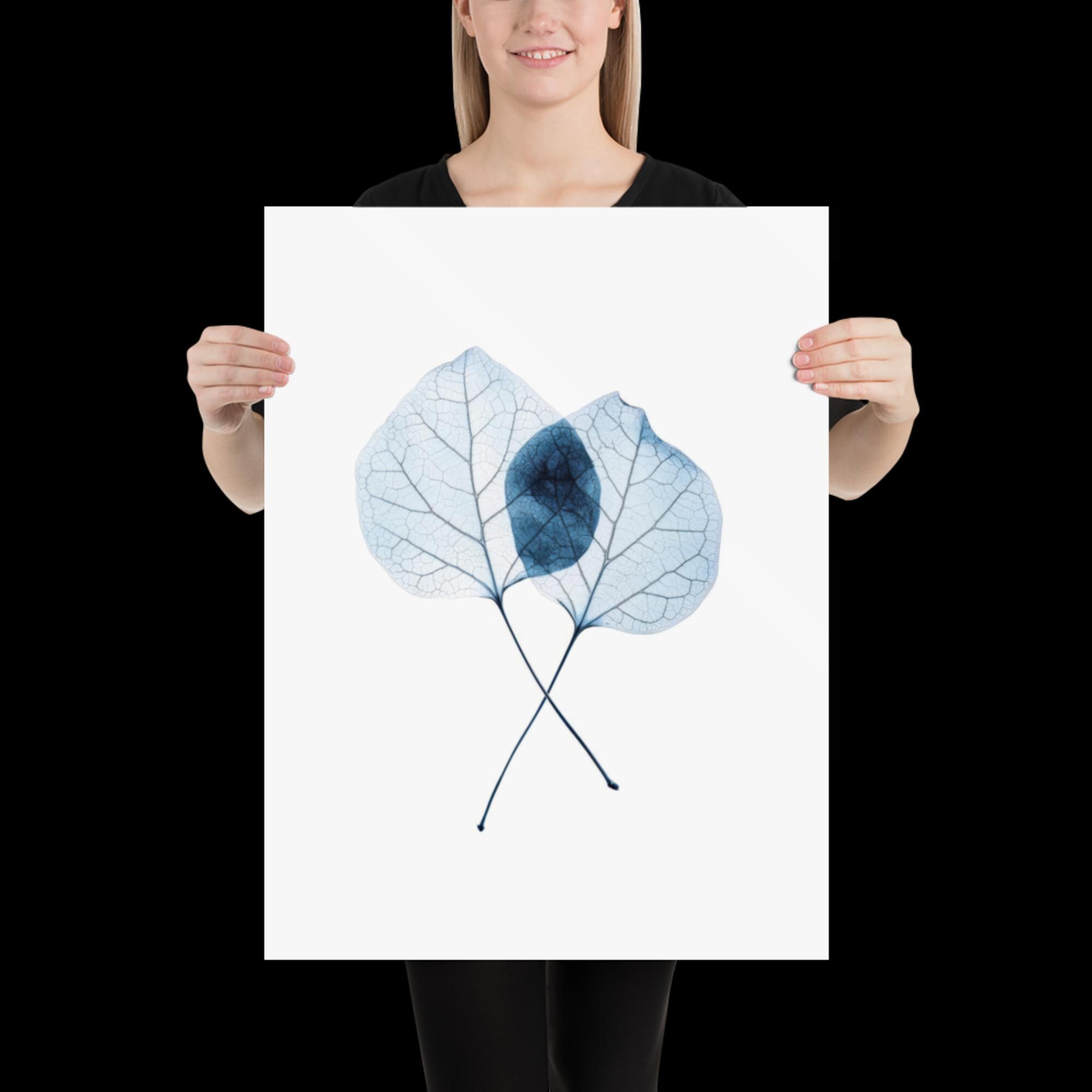 X-ray Leaves Art Transparent Poster Navy Blue - Etsy