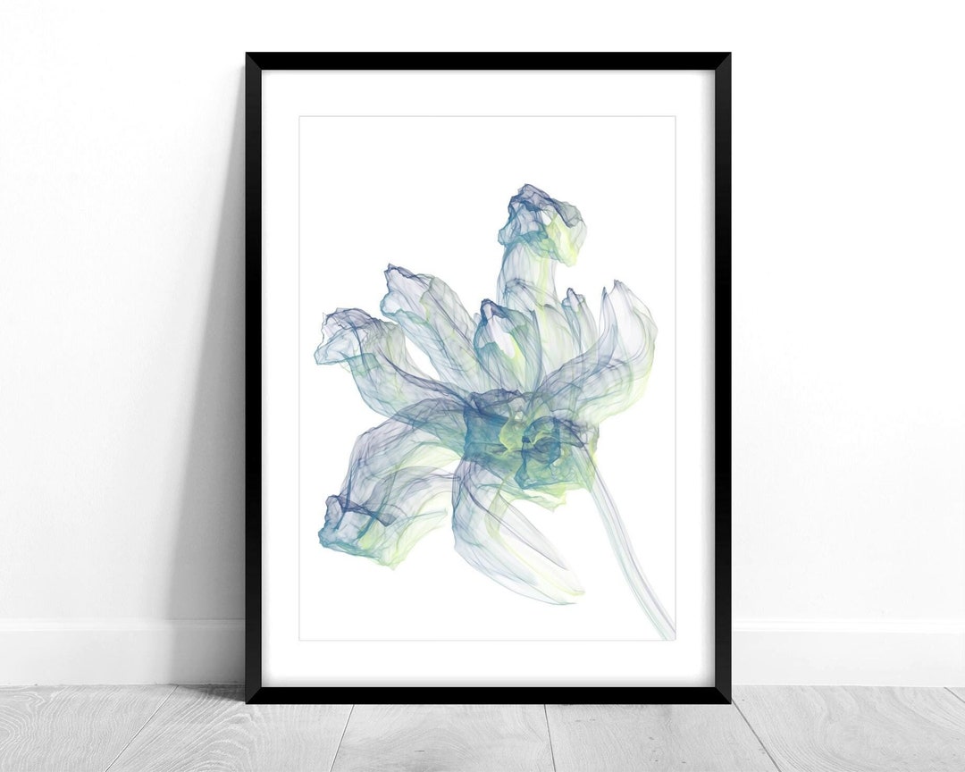 X-ray Flower Art Transparent Poster - Etsy
