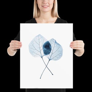 X-ray Leaves Art Transparent Poster Navy Blue - Etsy