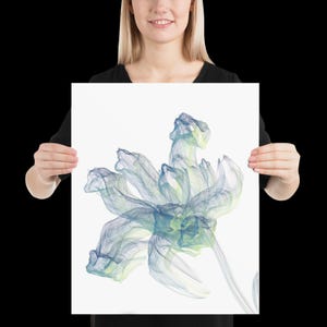 X-ray Flower Art Transparent Poster - Etsy