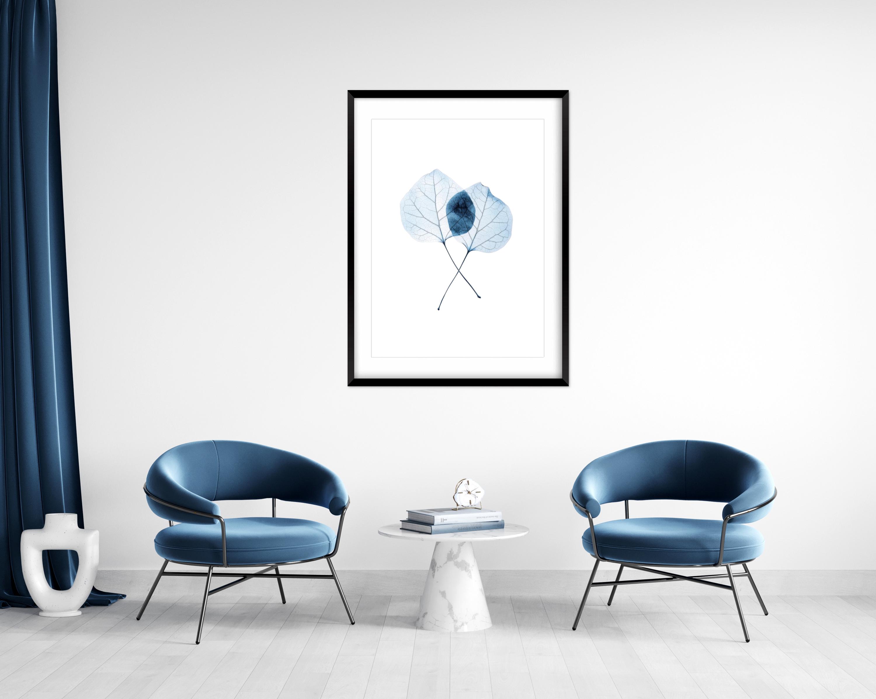 X-ray Leaves Art Transparent Poster Navy Blue - Etsy