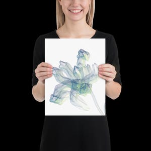 X-ray Flower Art Transparent Poster - Etsy