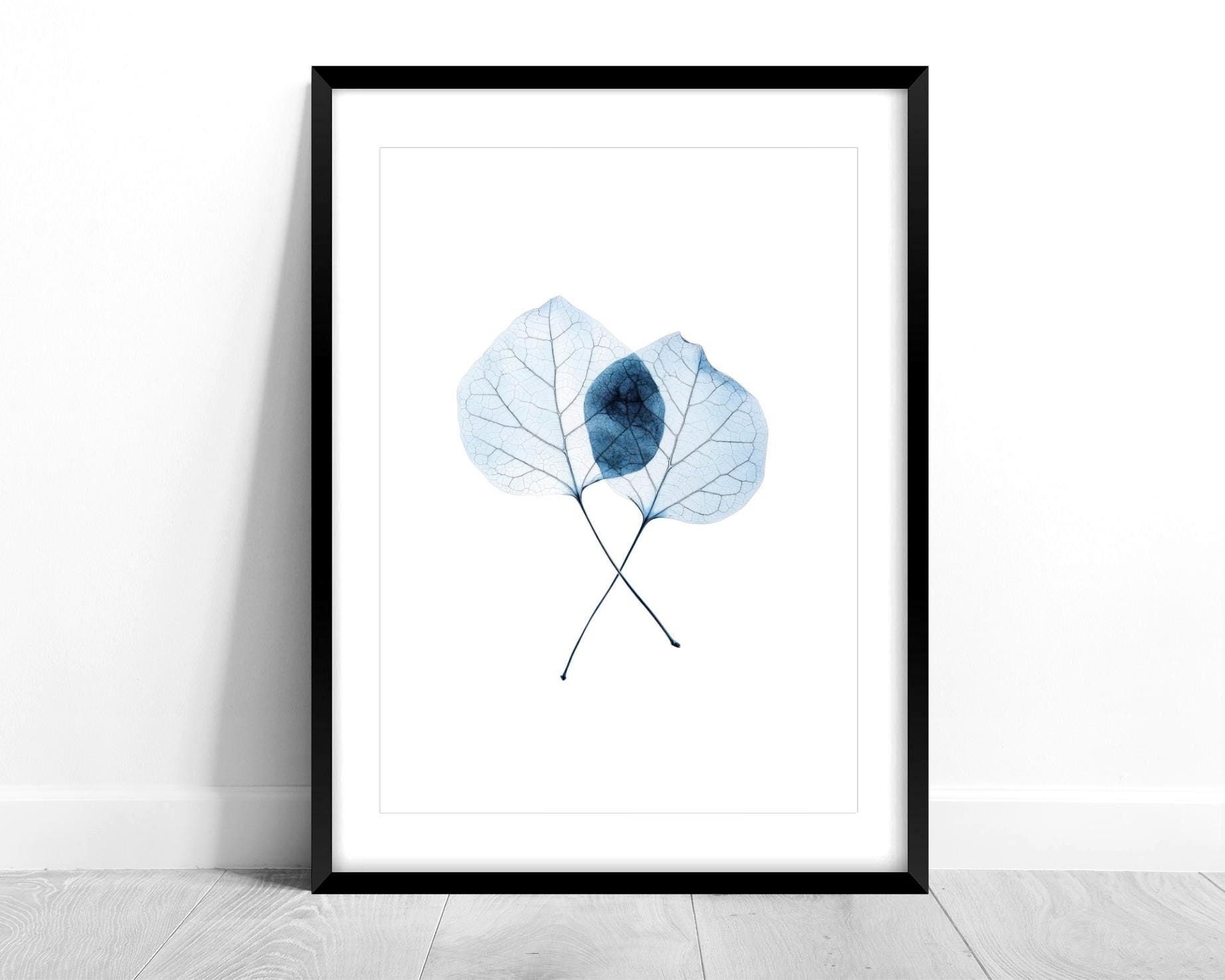 X-ray Leaves Art Transparent Poster Navy Blue - Etsy