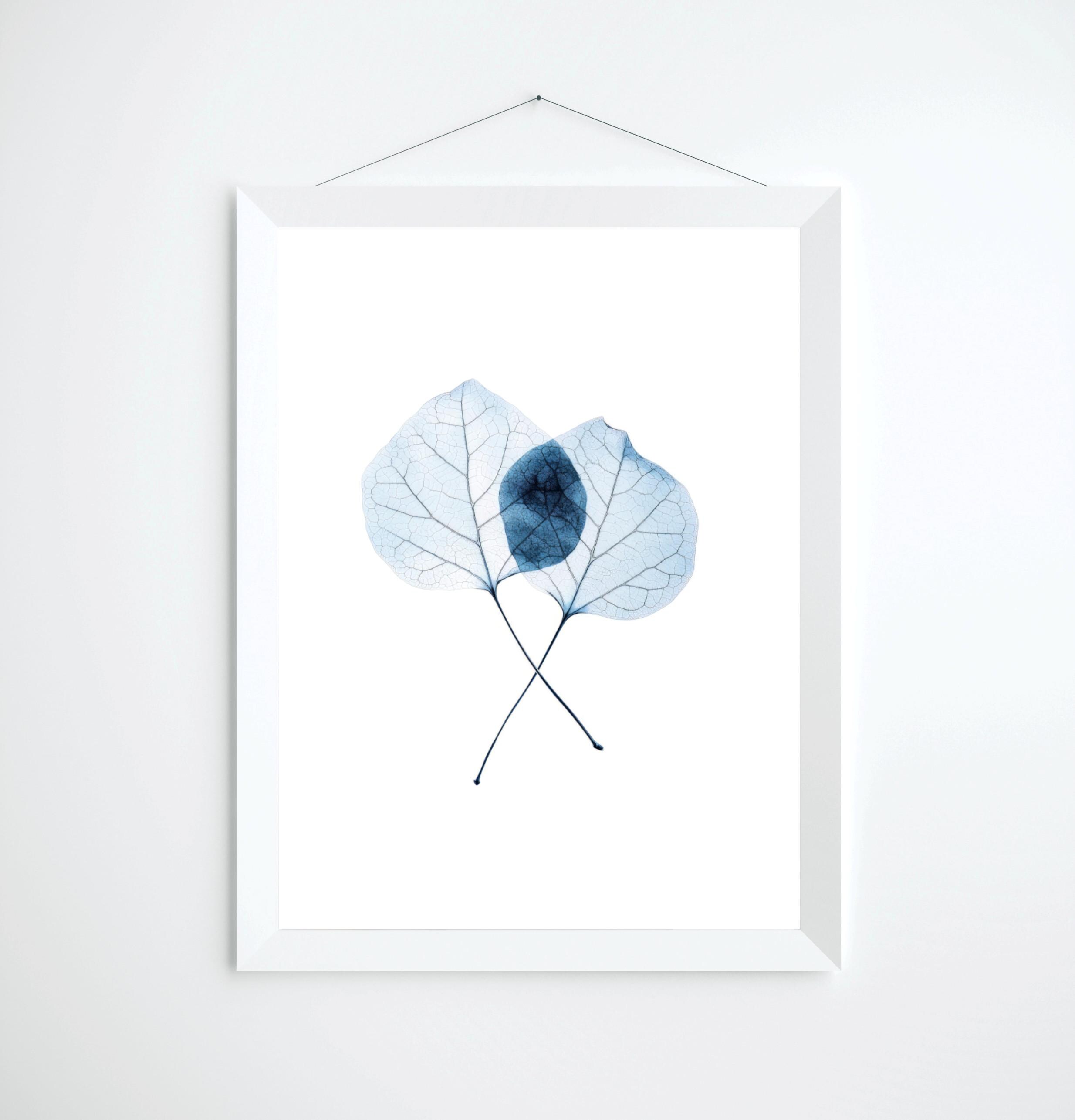 X-ray Leaves Art Transparent Poster Navy Blue - Etsy