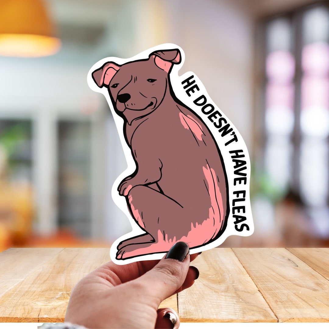 He Doesn't Have Fleas Sticker, Ved Med Gift, Vet Med Stickers, Funny ...