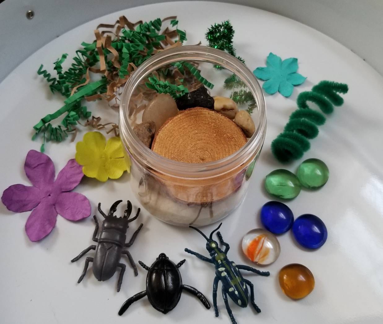 Insect Play Dough Kit | Bug Hunt Sensory Jar | Bug Garden Kit ...