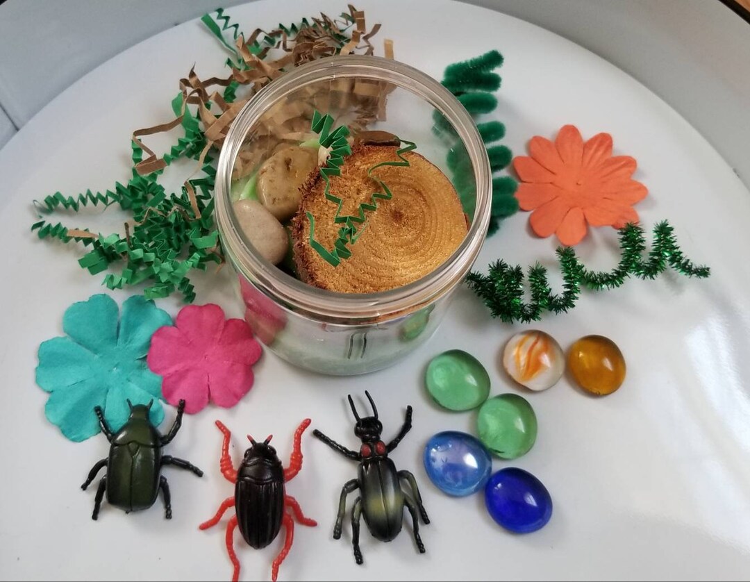Insect Play Dough Kit | Bug Hunt Sensory Jar | Bug Garden Kit ...