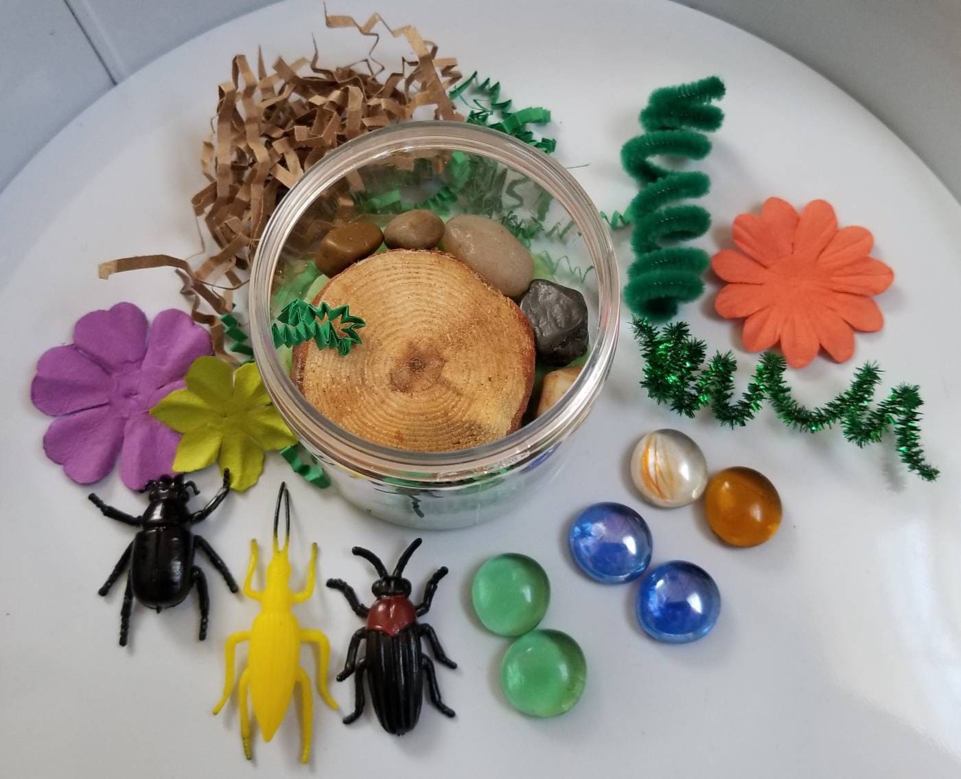 Insect Play Dough Kit | Bug Hunt Sensory Jar | Bug Garden Kit ...